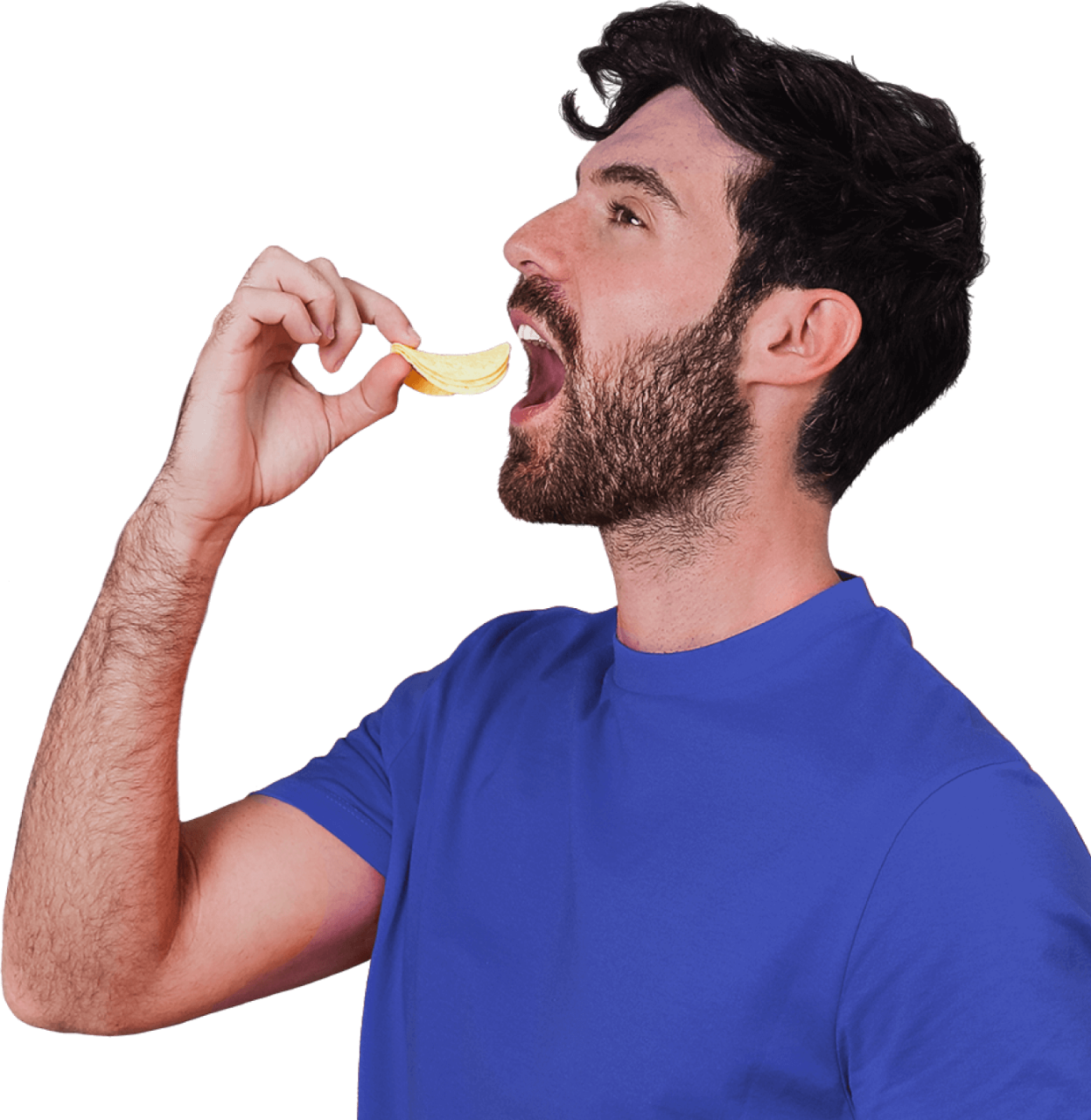 evolution du logo pringles